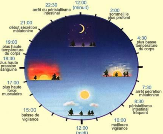 Sommeil - Myriam Loboda